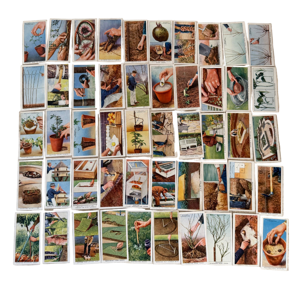 Set of 50 vintage "Garden Hints" cigarette cards issued by W.D. & H.O ...