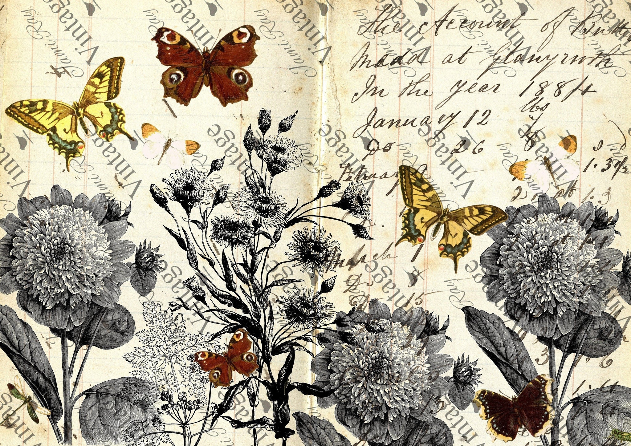 Monarchromatic JRV Rice Paper A4 Decoupage Home Decor – Jami Ray Vintage