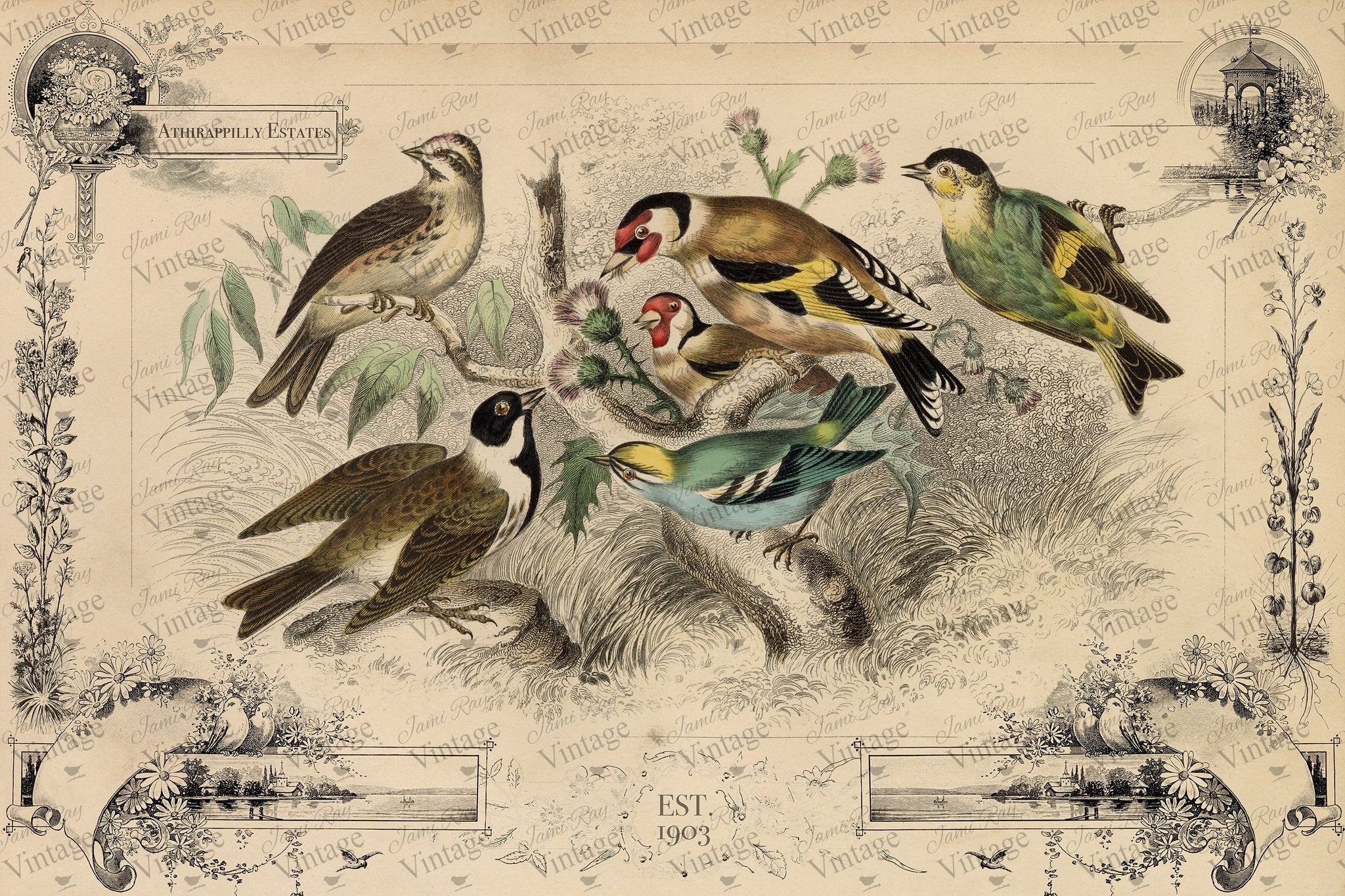 Cottage Birds 18 pound paper made for Decoupage, Tissue Paper 18x20 ...