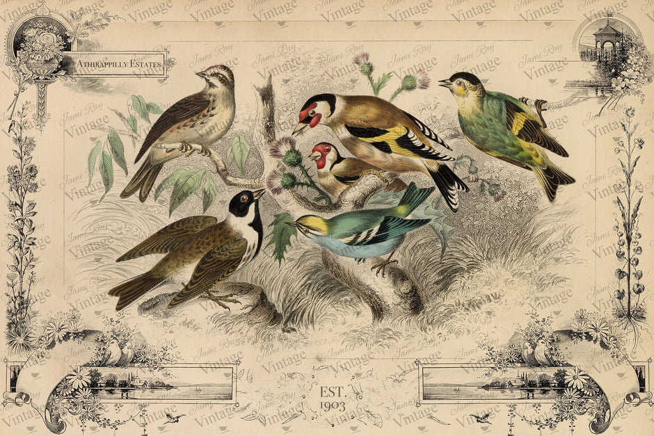 JRV Large 18# Decoupage Paper – Jami Ray Vintage